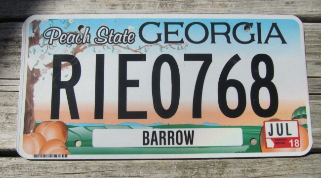 License Plate for SALE Georgia Peach State License Plate 2019 SHOP ...